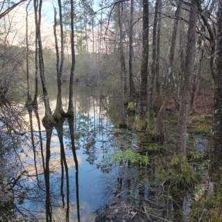 Lake Perry State Park - Beaumont, Mississippi - RV LIFE Campground Reviews